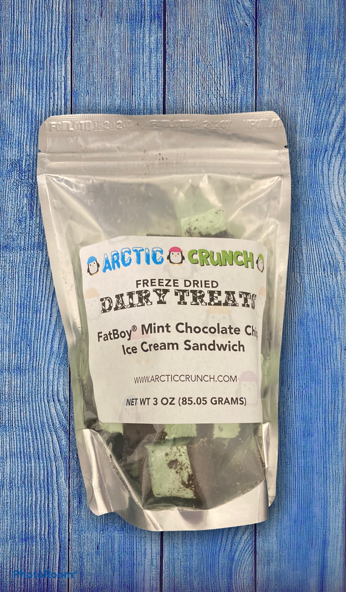 Mint Chocolate Chip Ice Cream Sandwich – Arctic Crunch
