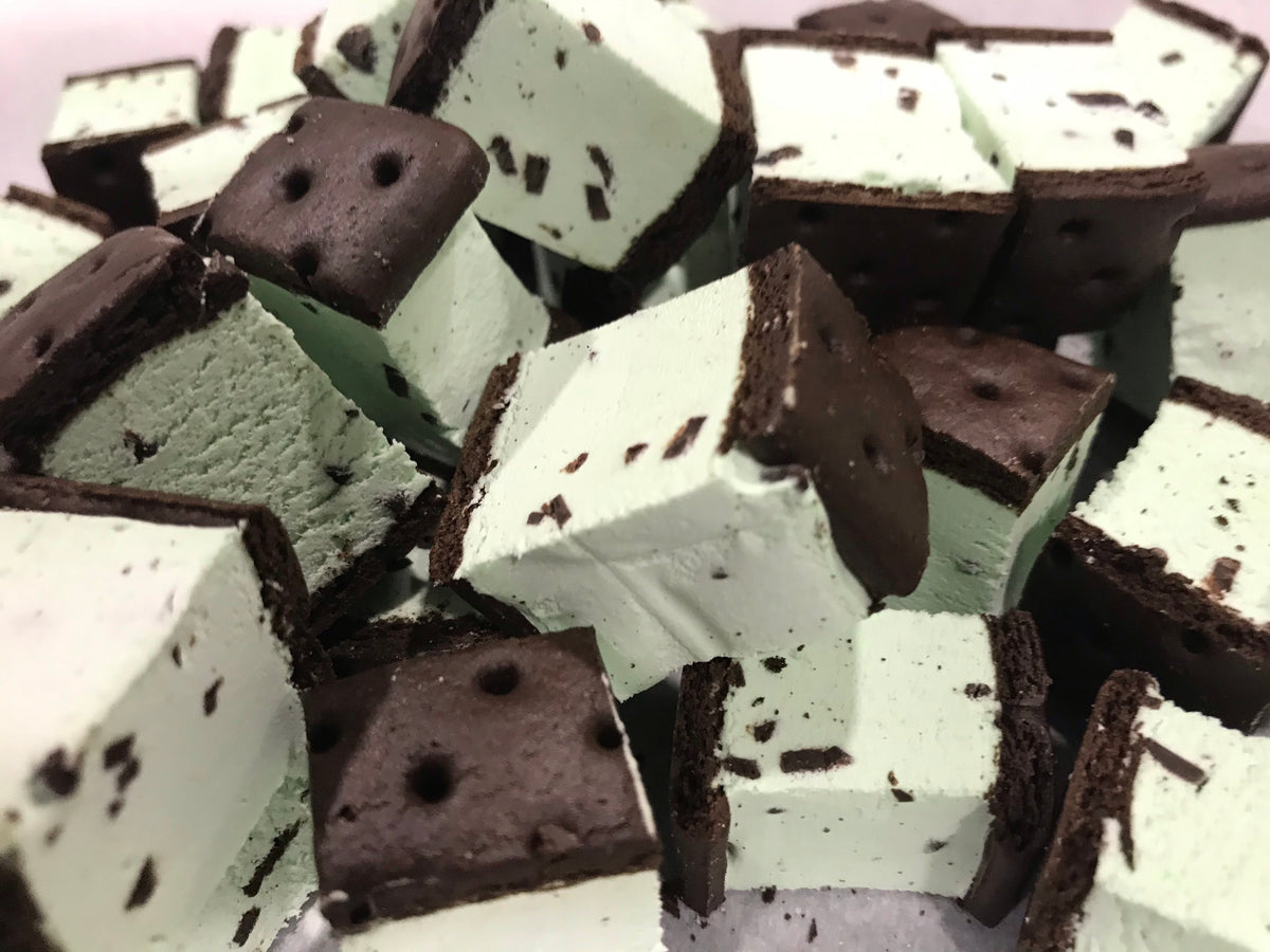 Mint Chocolate Chip Ice Cream Sandwich – Arctic Crunch